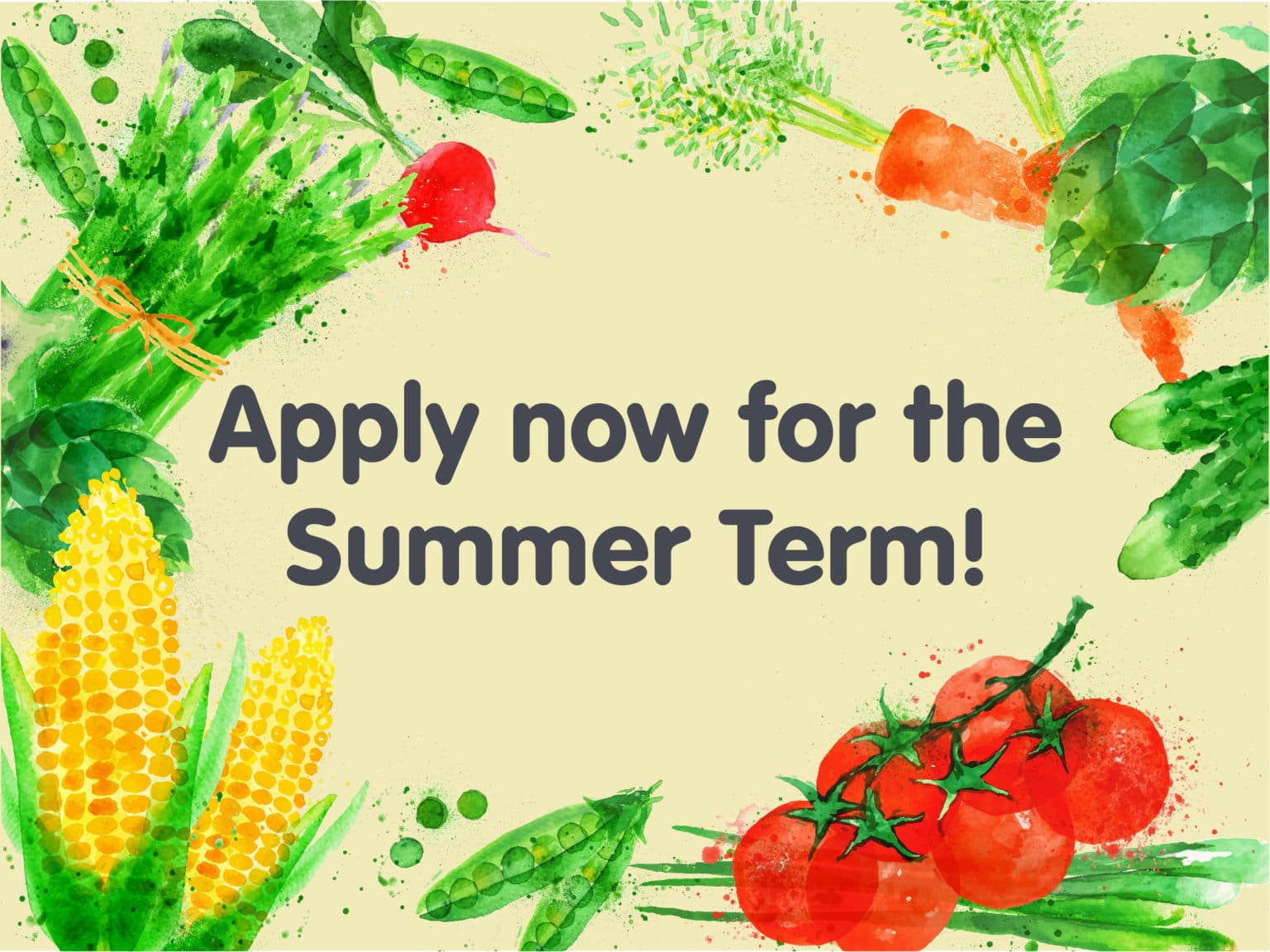Our Summer teaching term is here! - Auckland Teaching Gardens Trust