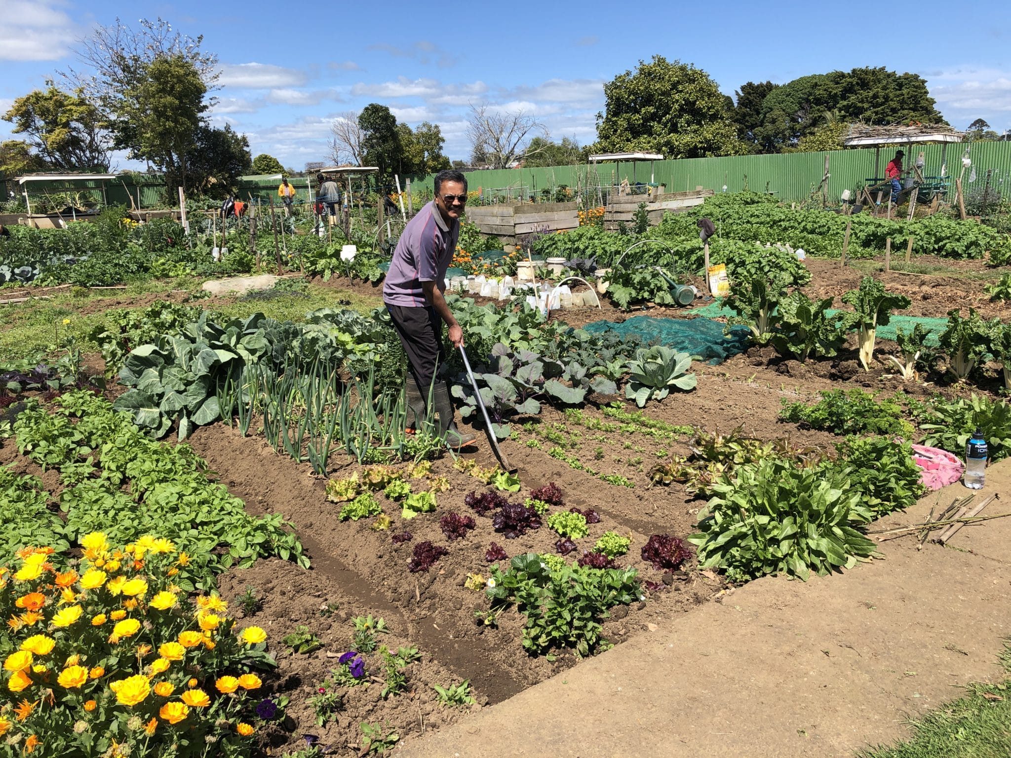 Garden Spotlights - Auckland Teaching Gardens Trust